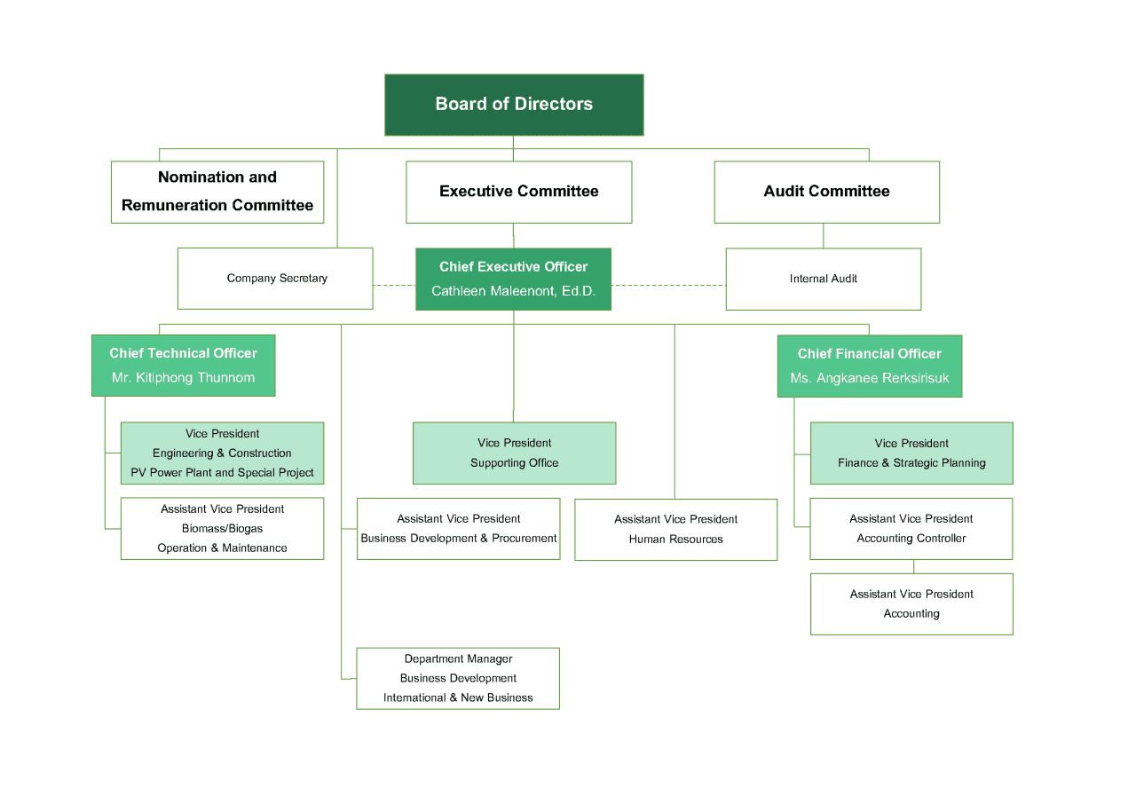 organization chart - Thai Solar Energy Company Limited